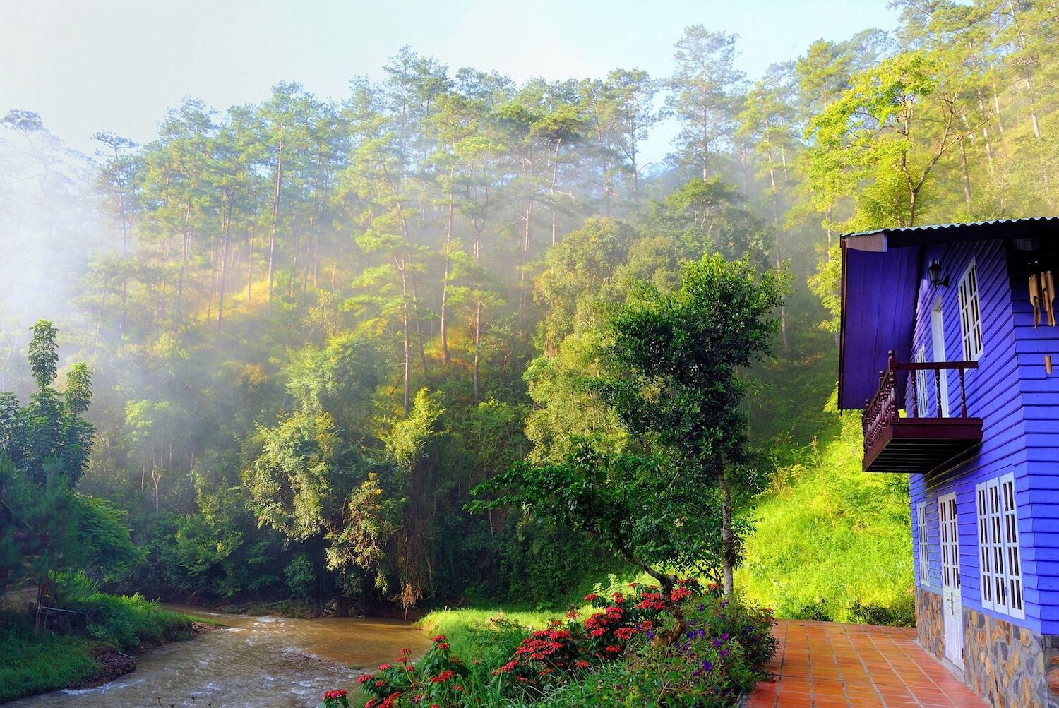 Ma Rừng Lữ Quán Đà Lạt - Khám phá khu vườn thần kỳ giữa lòng rừng