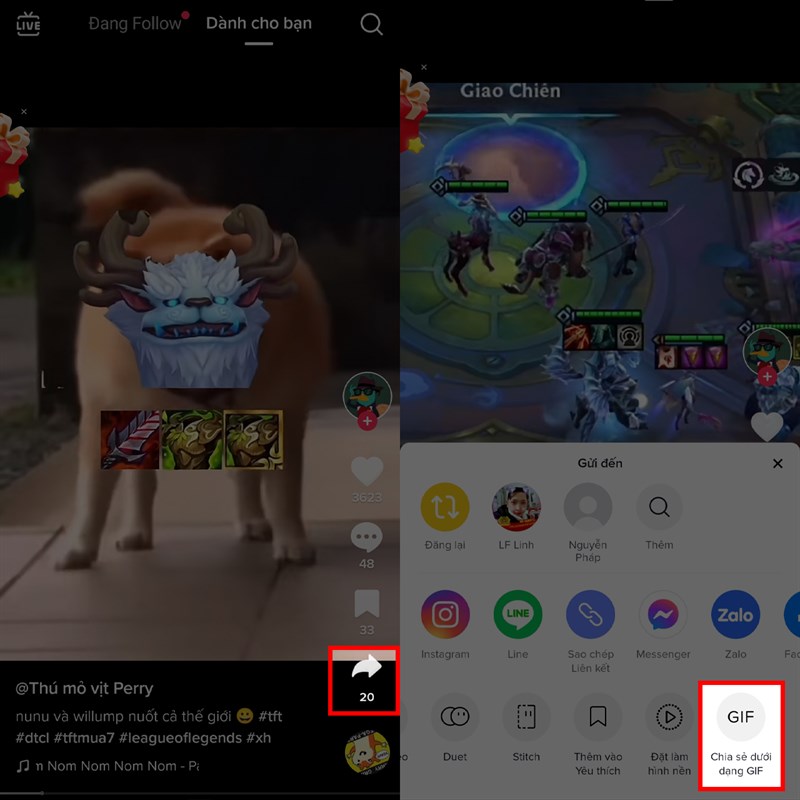 Bí quyết biến video TikTok thành GIF để sáng tạo đa dạng