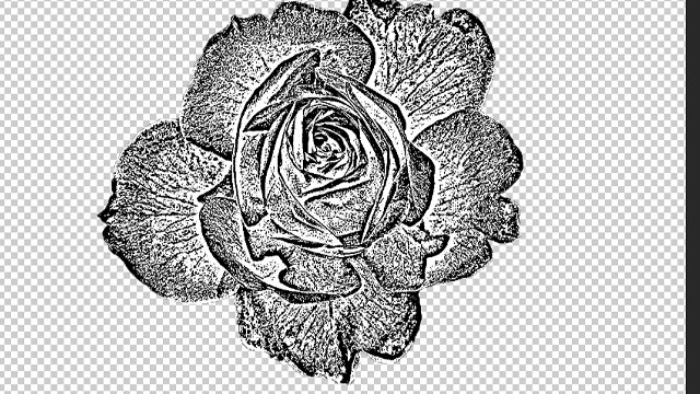 Chuyển đổi Chữ, Hình ảnh thành Vector trong Photoshop một cách dễ dàng