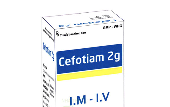 Công dụng của Cefotiam 2g | Mytour