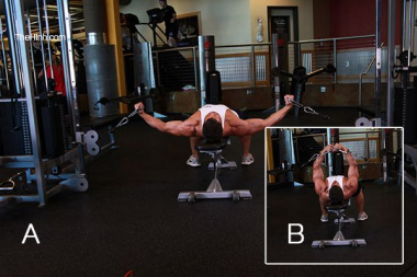 Cable Flyes – Bài tập tăng cường cơ ngực với dây cáp - Mytour