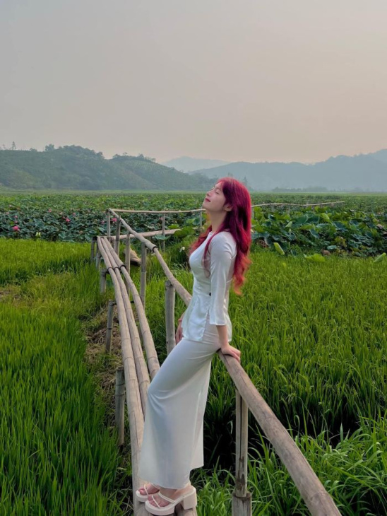 Cánh Đồng Hoa Đắk Nông: Bức tranh tuyệt vời hấp dẫn du khách