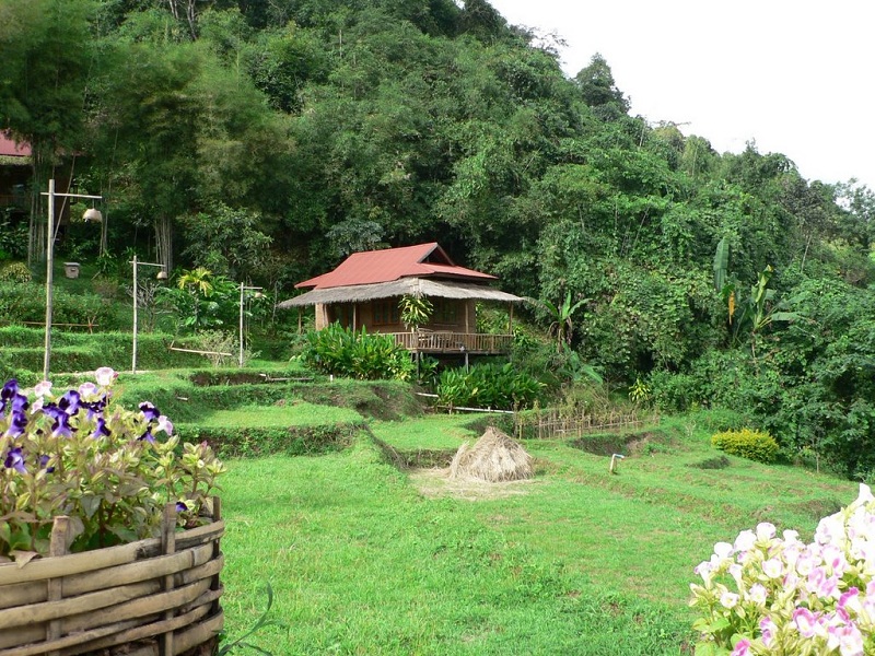 Ban Bo Luang – bản sắc núi rừng Chùa Vàng - Mytour