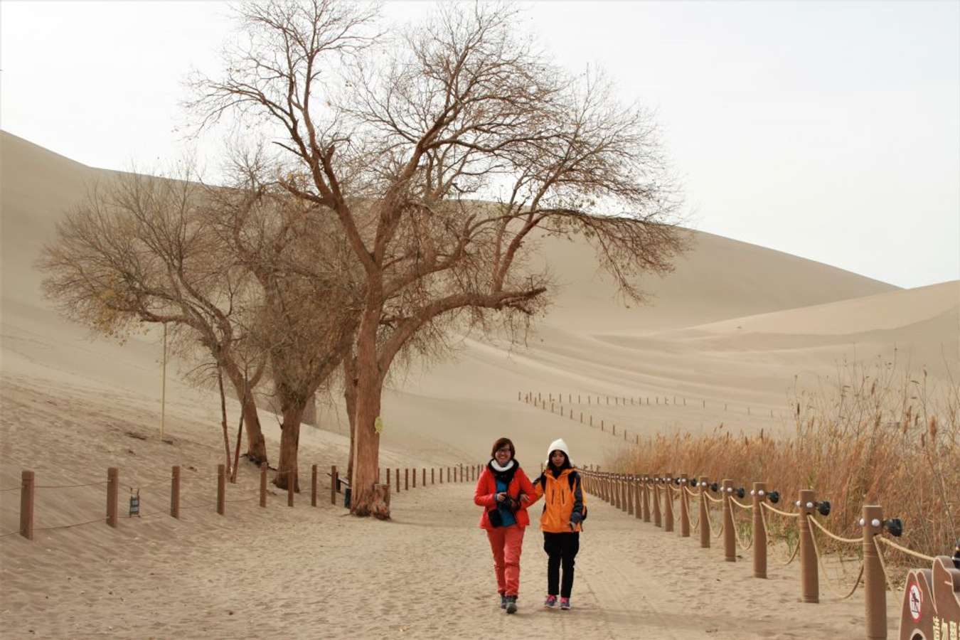 Khám phá vùng đất huyền bí Đôn Hoàng - nơi tinh khôi của thiên nhiên và ...