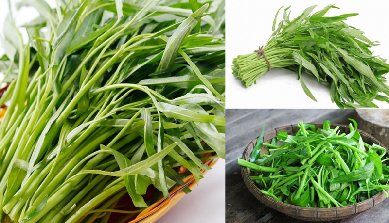 Rau Muống và 10 Lợi Ích Tuyệt Vời