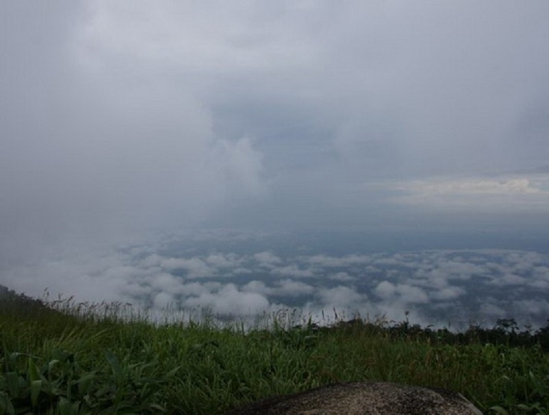 Khám Phá Núi Chứa Chan - Đồng Nai: Top 5 Trải Nghiệm Độc Đáo