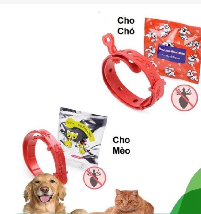 Top 7 Vòng đeo cổ chống ve chó, bọ chét siêu hiệu quả - Mytour.vn