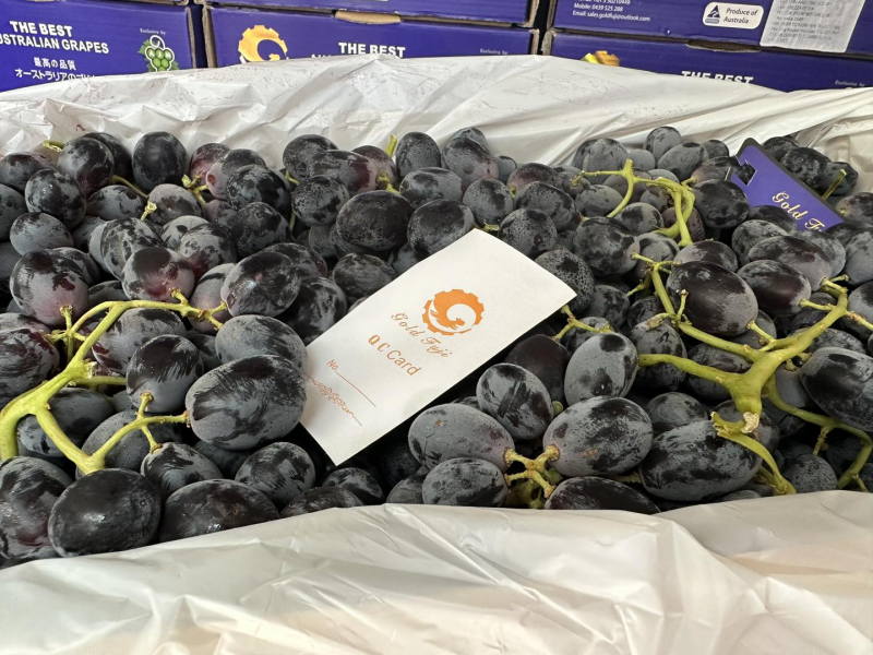 Top 12 Cửa Hàng Trái Cây Ngoại Nhập Uy Tín Nhất TPHCM - Mytour.vn