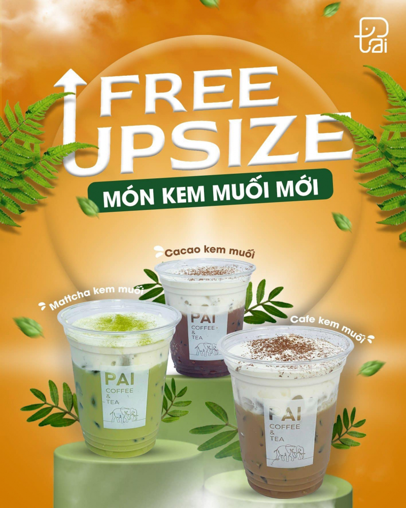 Top 9 Quán cà phê đẹp nhất trên phố Phạm Ngọc Thạch, Hà Nội - Mytour.vn