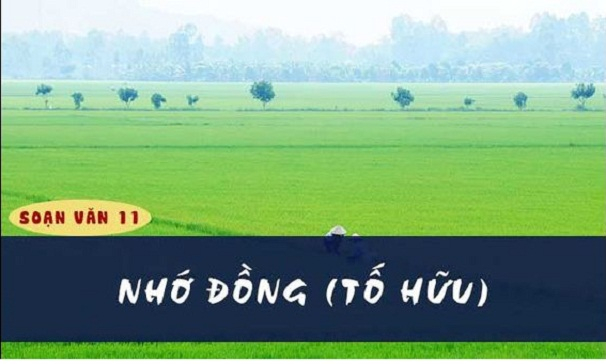 Top 6 Bài soạn 'Nhớ đồng' của Tố Hữu lớp 11 đáng đọc nhất - Mytour.vn