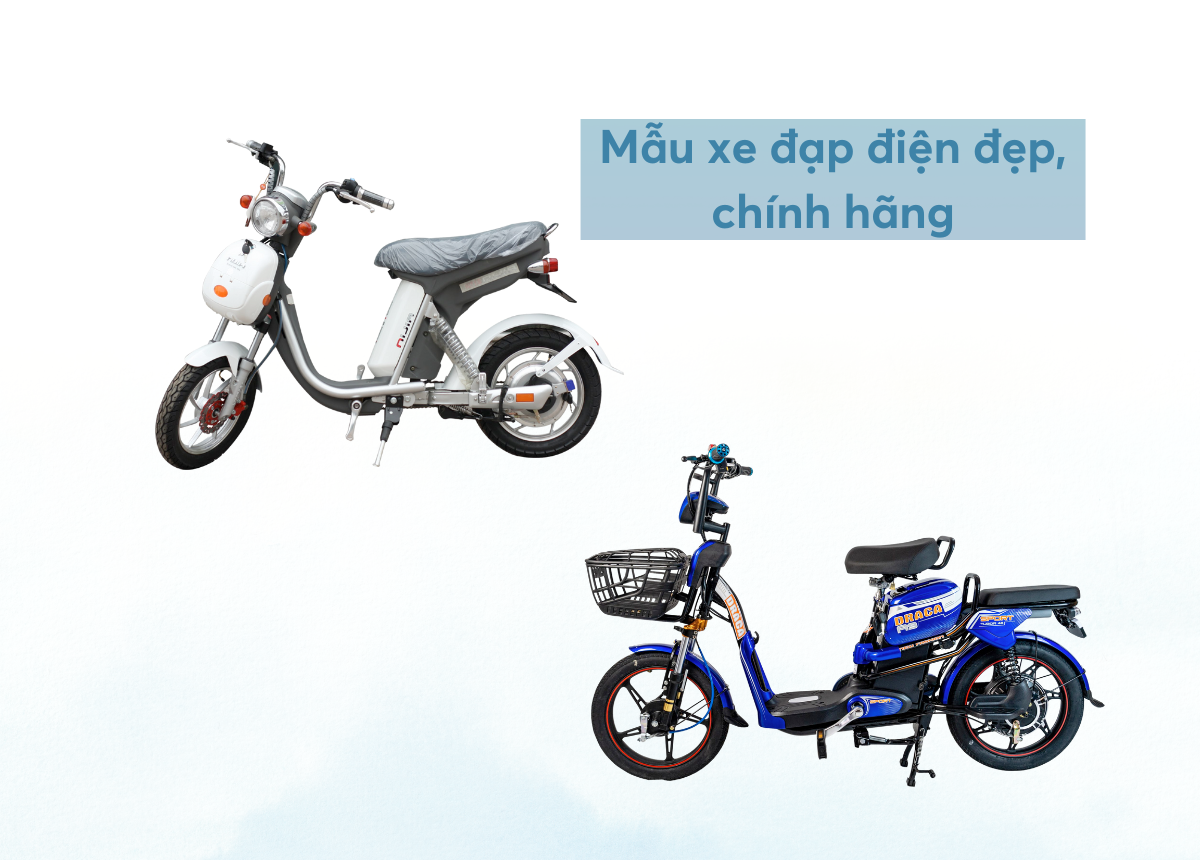 TOP 20 Mẫu Xe Đạp Điện Mới Nhất 2024, Đẹp Nhất, Chất Lượng | Mytour