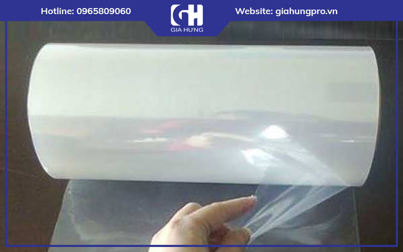 Danh Sách Top 5 Địa Chỉ Cung Cấp Màng Co Tốt Nhất Hà Nội - Mytour.vn