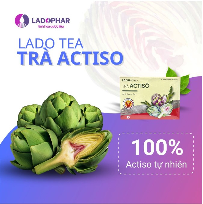 Top 10 Thương hiệu trà atiso hot nhất hiện nay - Mytour.vn