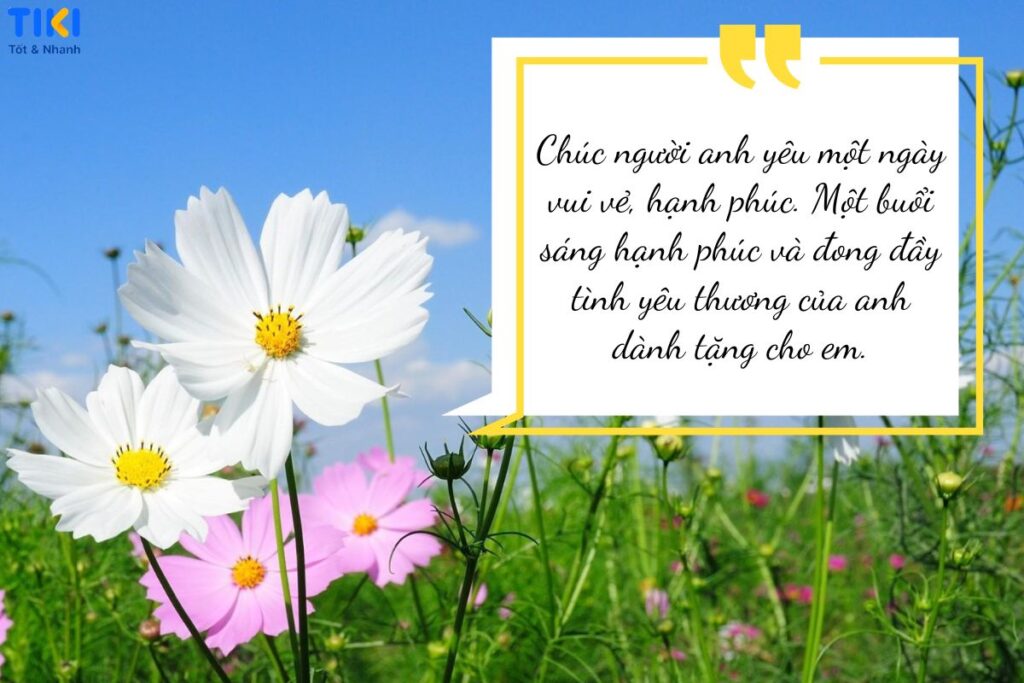 1001+ Lời Chúc Ngày Mới Hạnh Phúc, Vui Vẻ, Tràn Đầy Năng Lượng | Mytour