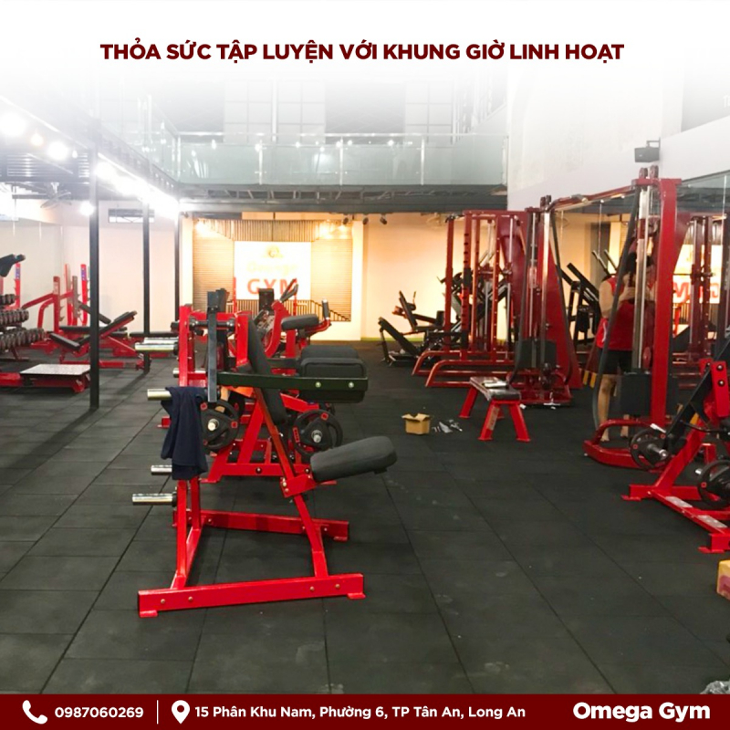 Top 8 Địa điểm tập gym hàng đầu tại Long An - Mytour.vn