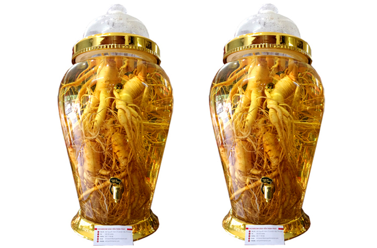 Top 19 Loại rượu ngâm tốt cho sức khỏe đã được kiểm nghiệm - Mytour.vn