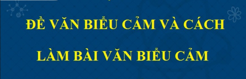 Top 6 Bài luận 'Đề văn biểu cảm và cách viết bài văn biểu cảm' lớp 7 xuất sắc nhất - Mytour.vn