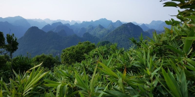 Top 10 vườn quốc gia đẹp ở Việt Nam - ALONGWALKER