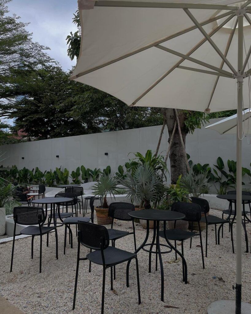 Ollin Cafe – Điểm hẹn hiện đại dành cho tình yêu hạt cà phê Robusta ...
