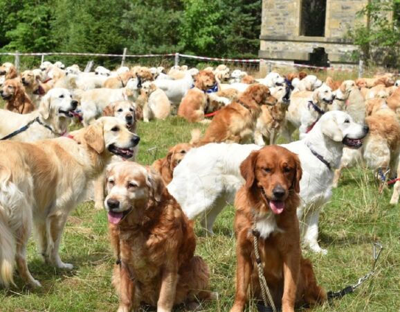 Danh sách Top 15 lễ hội độc đáo và nổi tiếng trên toàn thế giới - ALONGWALKER