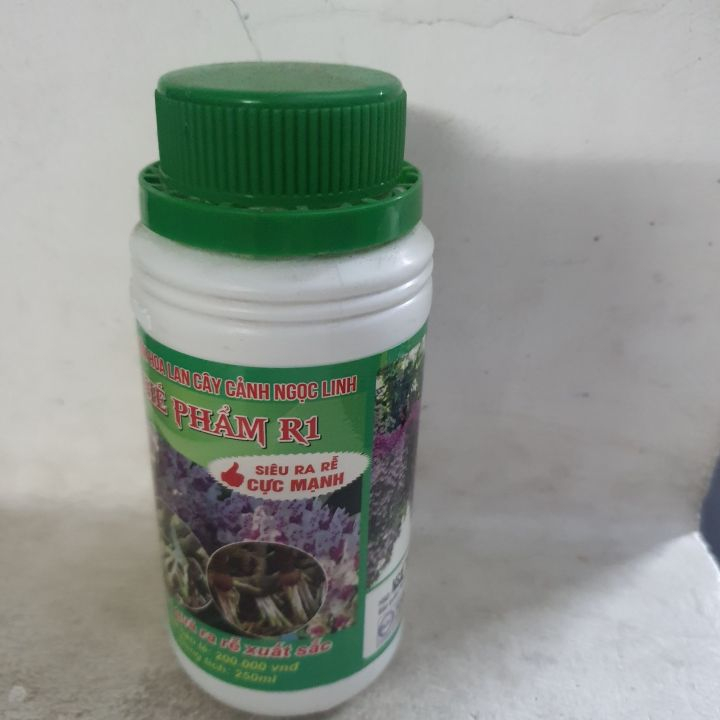 Top 8 Thuốc kích rễ cây được ưa chuộng nhất hiện nay - Mytour.vn