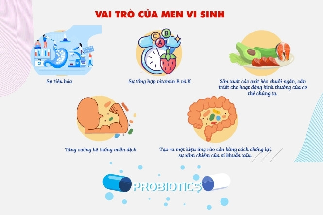 Phân Biệt Men Vi Sinh và Men Tiêu Hoá: Bản Chất, Công Dụng và Cách Sử Dụng