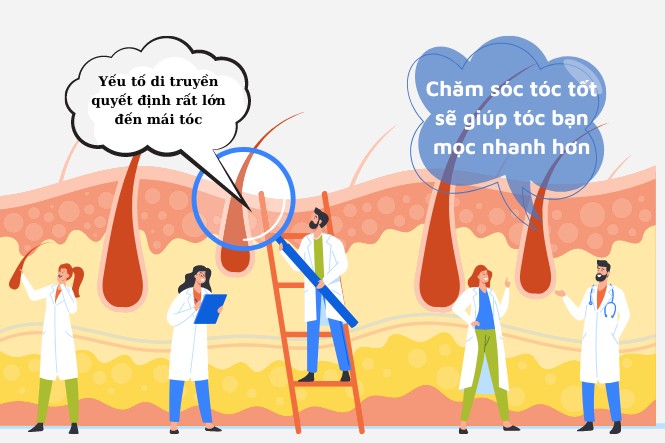 10 Phương pháp mọc tóc nhanh cho nữ để có mái tóc siêu dài và nhanh chóng