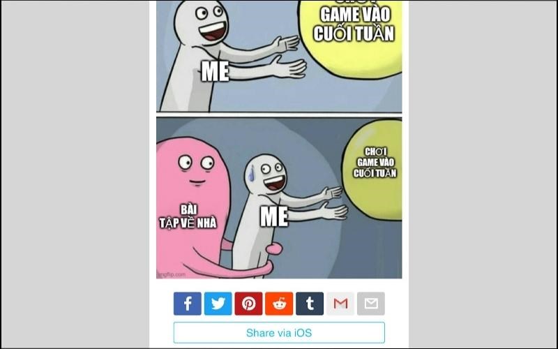 Chế ảnh meme online ngay trên máy tính, điện thoại - Mytour