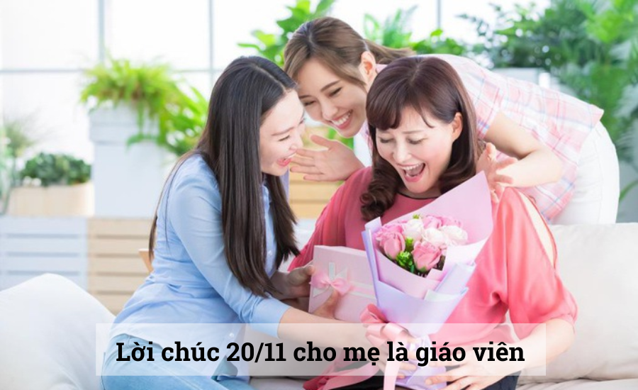 Chúc Mừng Ngày Nhà Giáo Việt Nam 20/11!