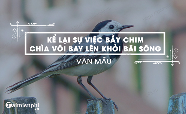 Mô tả về cảnh bầy chim chìa vôi hòa mình vào không gian bầu trời khi ...