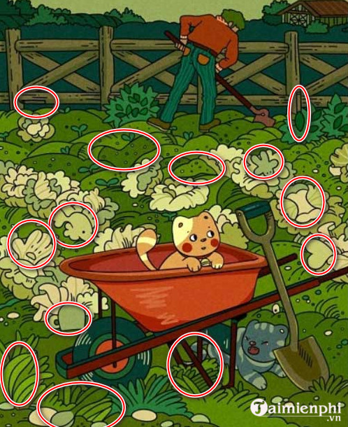 Giải đáp Find Out đầy đủ, trò chơi giải đố trí tuệ