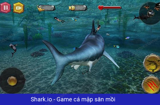 Những Tựa Game Cá Mập Hot Nhất Cho Điện Thoại