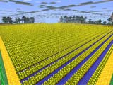 Cách tạo ruộng trồng lúa mì trong Minecraft