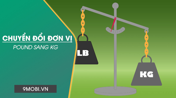 Bí quyết chuyển đổi pound thành kg và gram: Tìm hiểu cách 1 pound được ...