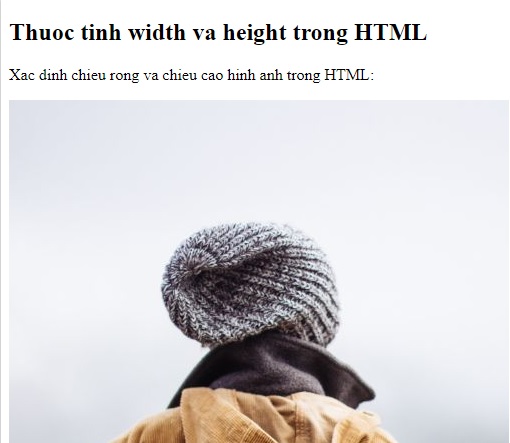 Các Thuộc Tính Trong HTML: href, src, alt, style
