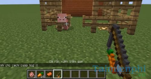 Bí quyết điều khiển lợn, heo trong thế giới Minecraft