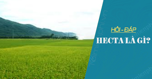 Hecta là khái niệm gì?