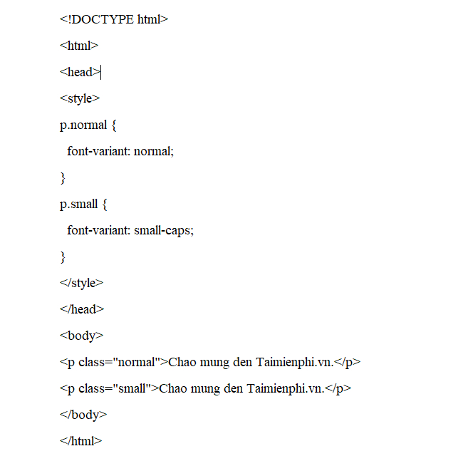 Khám phá Sức Mạnh của Font trong CSS: Family, Style, Variant, Size, phông chữ CSS