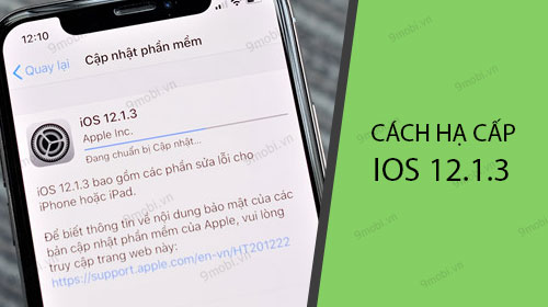 Bí quyết giảm cấp iOS 12.1.3 xuống iOS 12.1.1