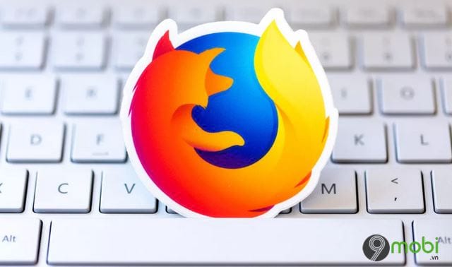 Firefox cho phép người dùng xoá mọi dữ liệu mà trình duyệt thu thập.