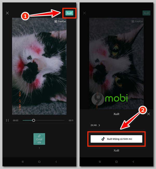 Bí quyết loại bỏ logo CapCut trên video, Xóa watermark CapCut