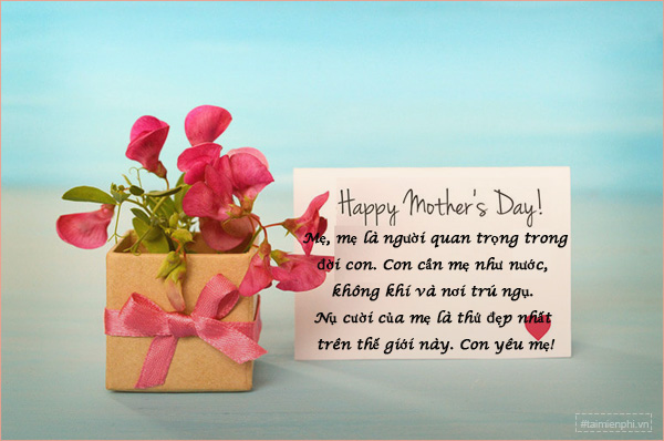 Những lời chúc Ngày của Mẹ đặc sắc và ý nghĩa mà ai cũng nên đọc