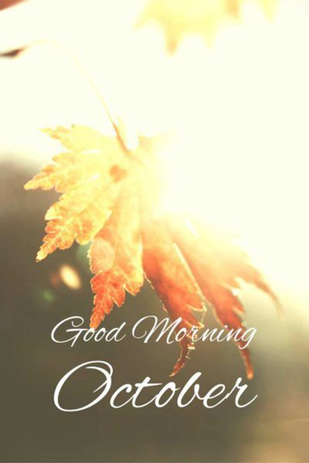 Góc ảnh tháng 10 tuyệt vời, hấp dẫn, và ý nghĩa