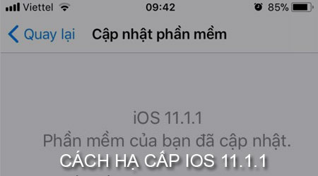 Bí quyết giảm cấp độ iOS 11.1.1 về iOS 11.1