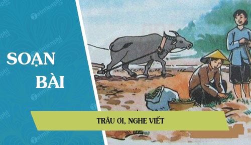 Trâu ơi, nghe tiếng gọi của gió