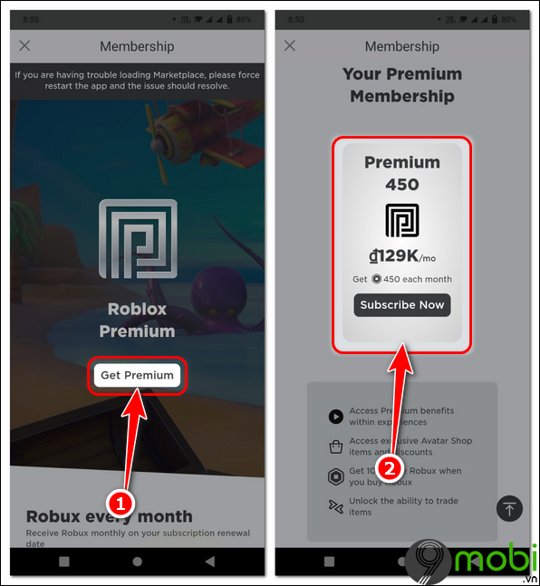 Roblox Premium - Trải Nghiệm Game Hấp Dẫn