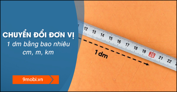 Tính toán 1 dm bằng bao nhiêu cm, mm, m? Hãy khám phá cách đổi dm sang m.