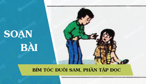 Chuẩn bị bài Tập đọc: Bím tóc đuôi sam, môn Tiếng Việt lớp 2