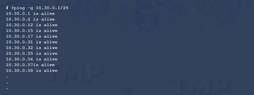 Hướng dẫn sử dụng Ping, fping và Gping trên Linux