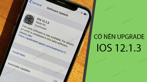 Nên hay Không: Lựa chọn cập nhật iOS 12.1.3 cho iPhone, iPad, iPod Touch
